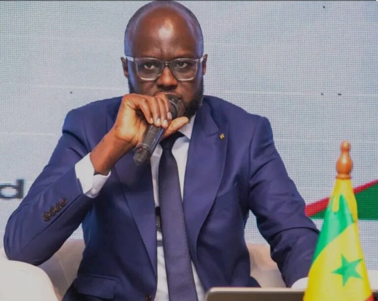 Assemblée nationale : les grandes annonces d'El Malick Ndiaye
